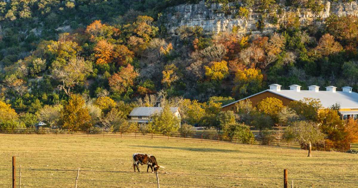 Tres Vistas Ranch 531 Ac. | The Reno Realty Group
