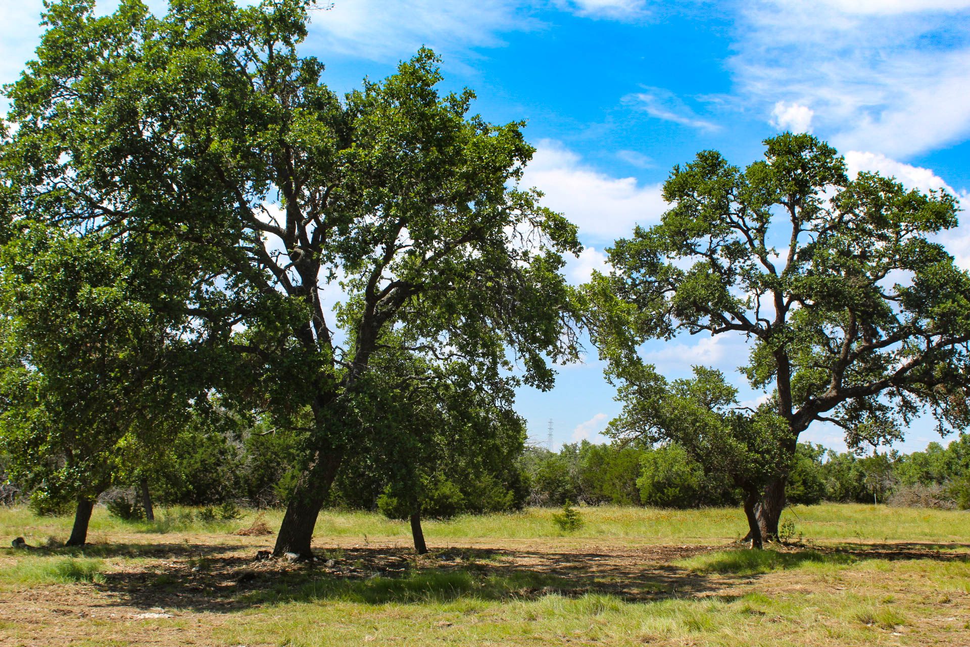 Paloma Ranch 5 to 10 acre Tracts | The Reno Realty Group | Available ...